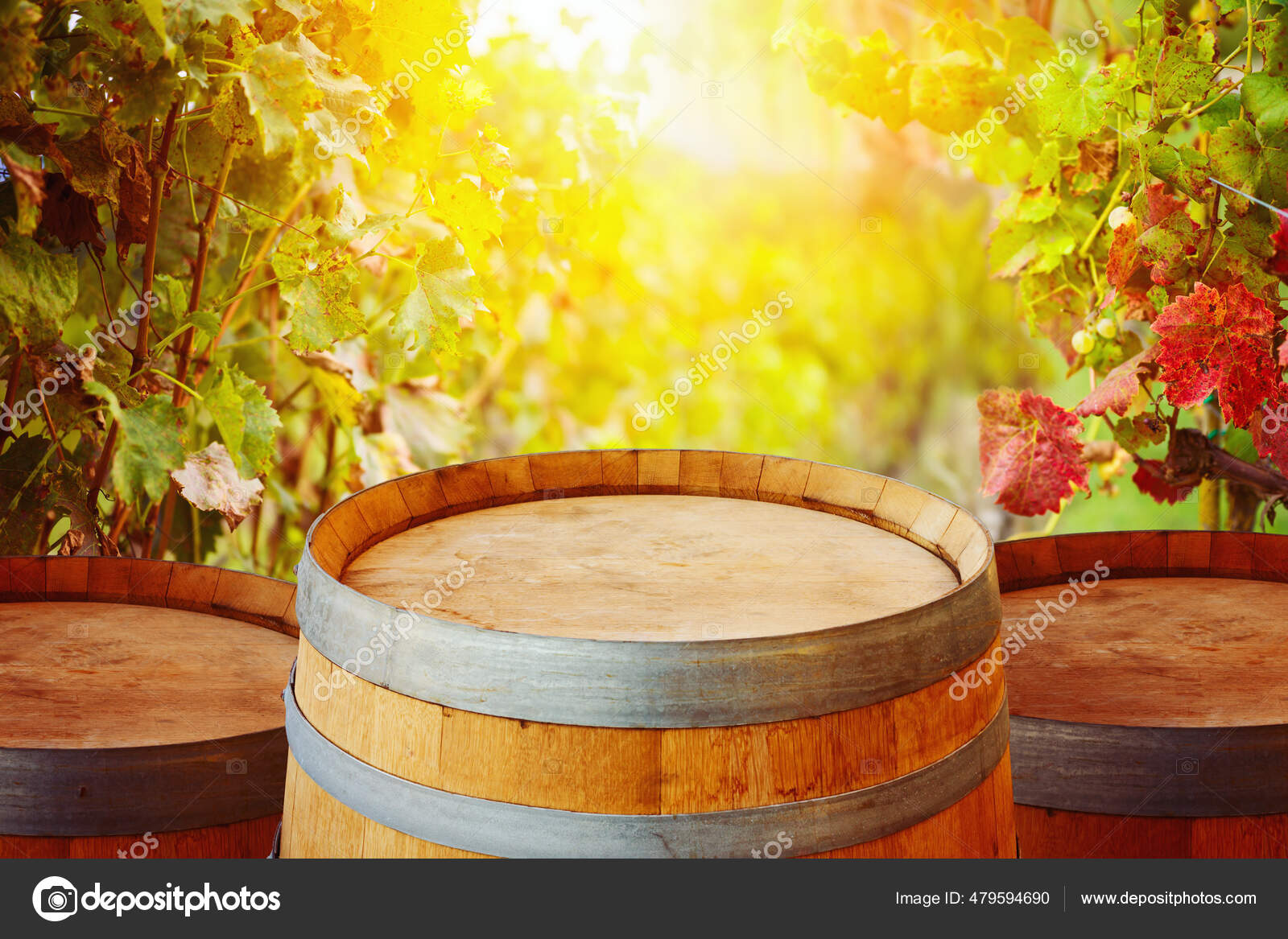 Empty Wooden Barrel Beautiful Vineyard Background Autumn Mock Design ...