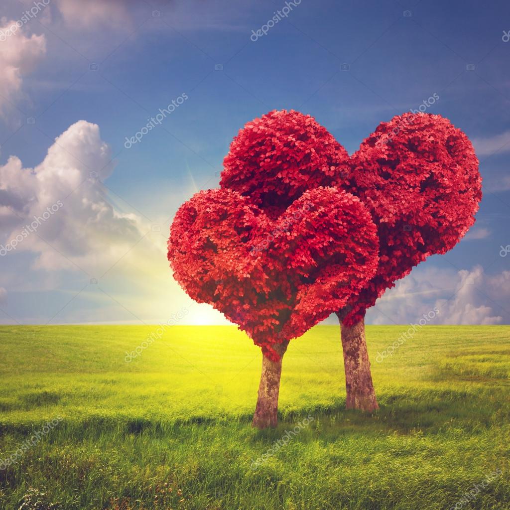 Heart shape trees — Stock Photo © maglara #62555701