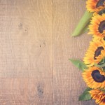 Fall border with sunflowers on a grunge wood background Stock Photo by ...