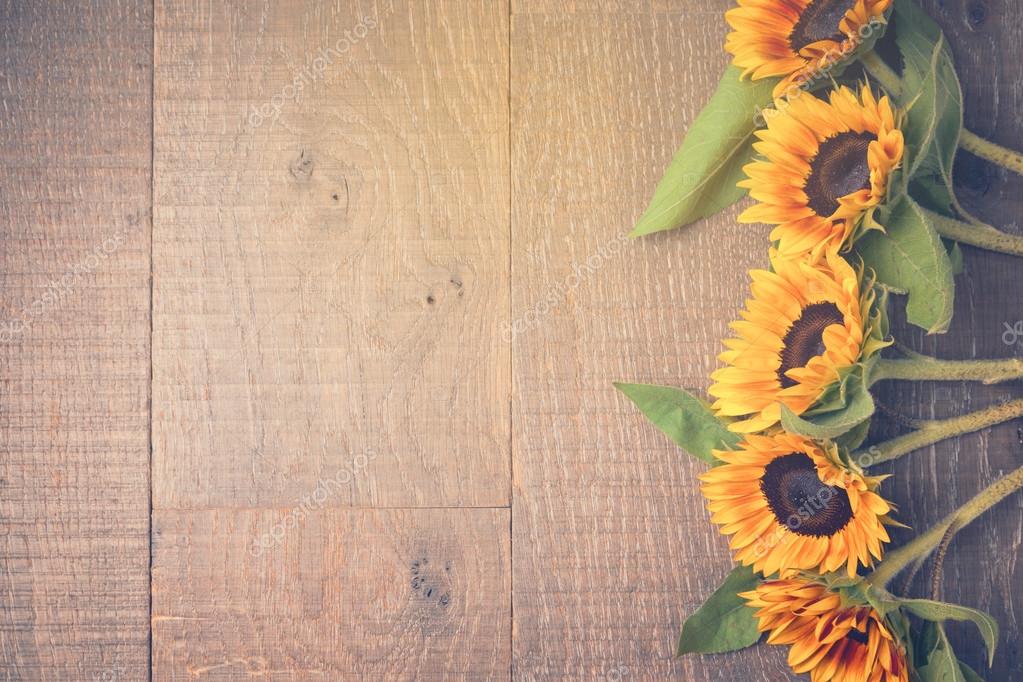 Autumn background with sunflowers Stock Photo by ©maglara 81739838