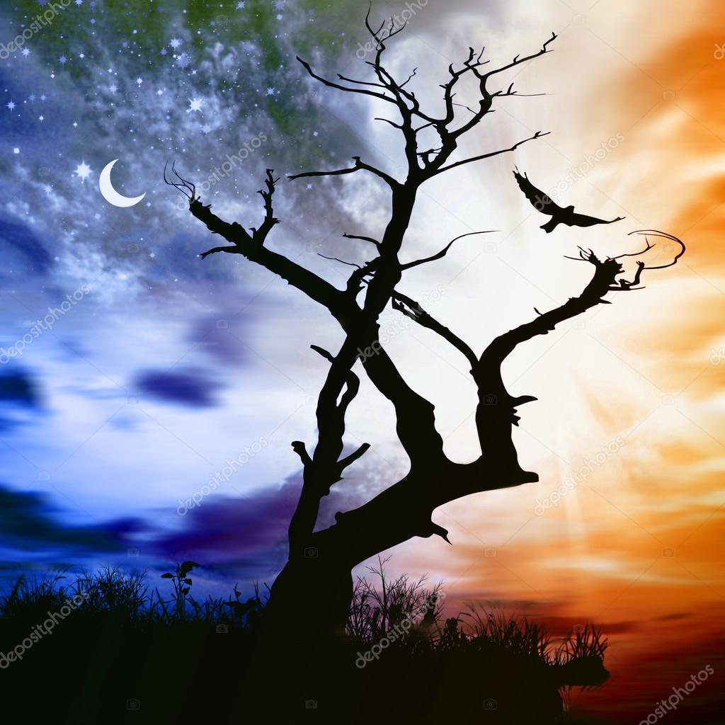 Day and night landscape — Stock Photo © jeneva86 #52412835