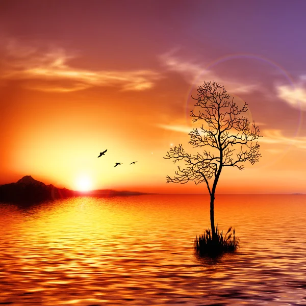 Pretty Nature Profile Pictures