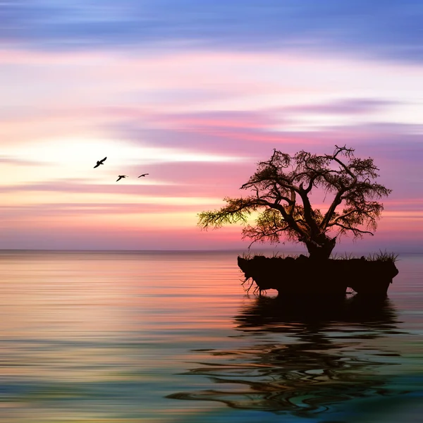 Beautiful landscape with birds Stock Photo by ©jeneva86 82724264