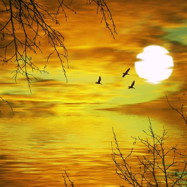 Beautiful landscape with birds Stock Photo by ©jeneva86 82724264