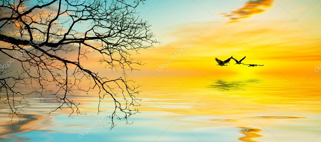 Beautiful landscape with birds — Stock Photo © jeneva86 #68646673