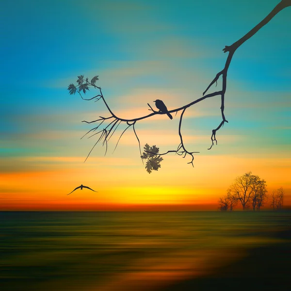 Beautiful landscape Stock Photo by ©jeneva86 61014307