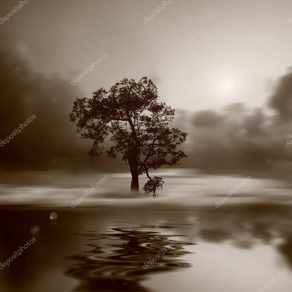 Beautiful sepia landscape Stock Photo by ©jeneva86 93816518