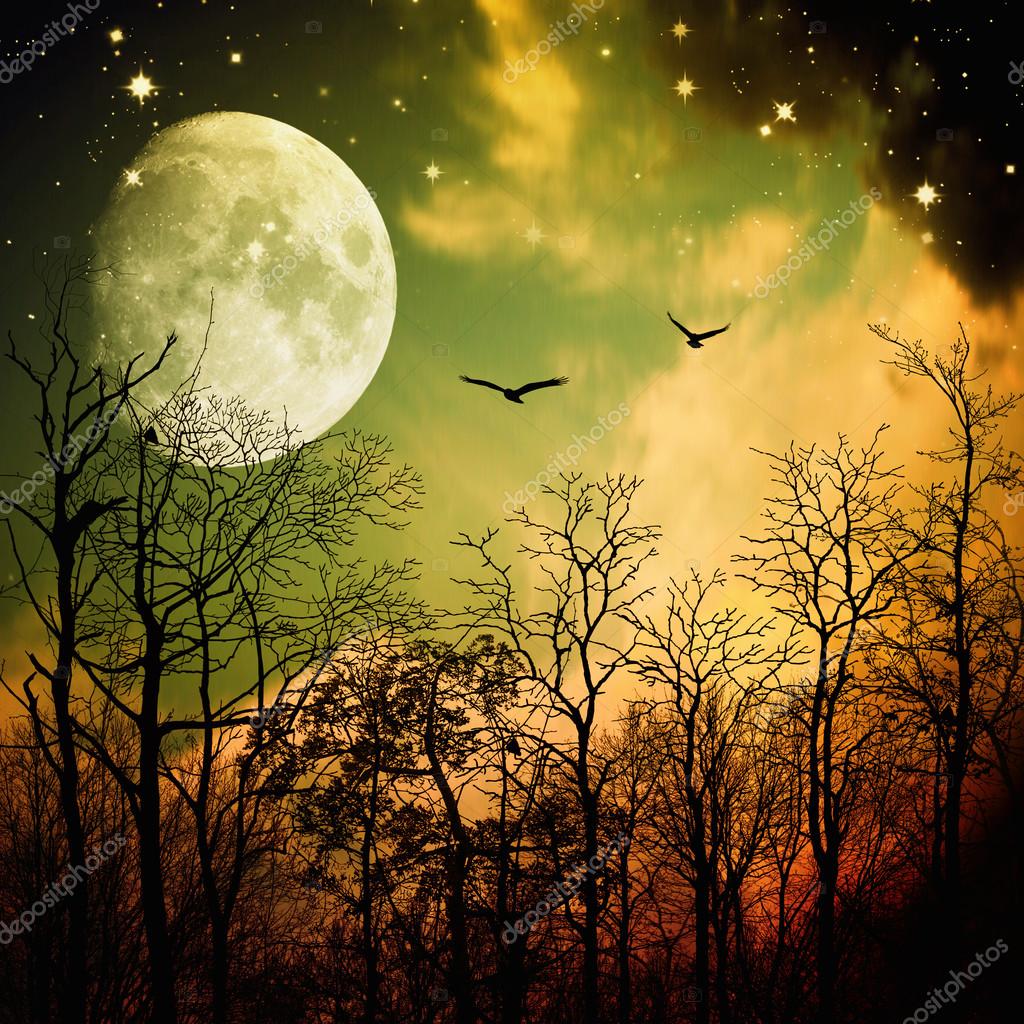 Beautiful saturated landscape Stock Photo by ©jeneva86 95599138