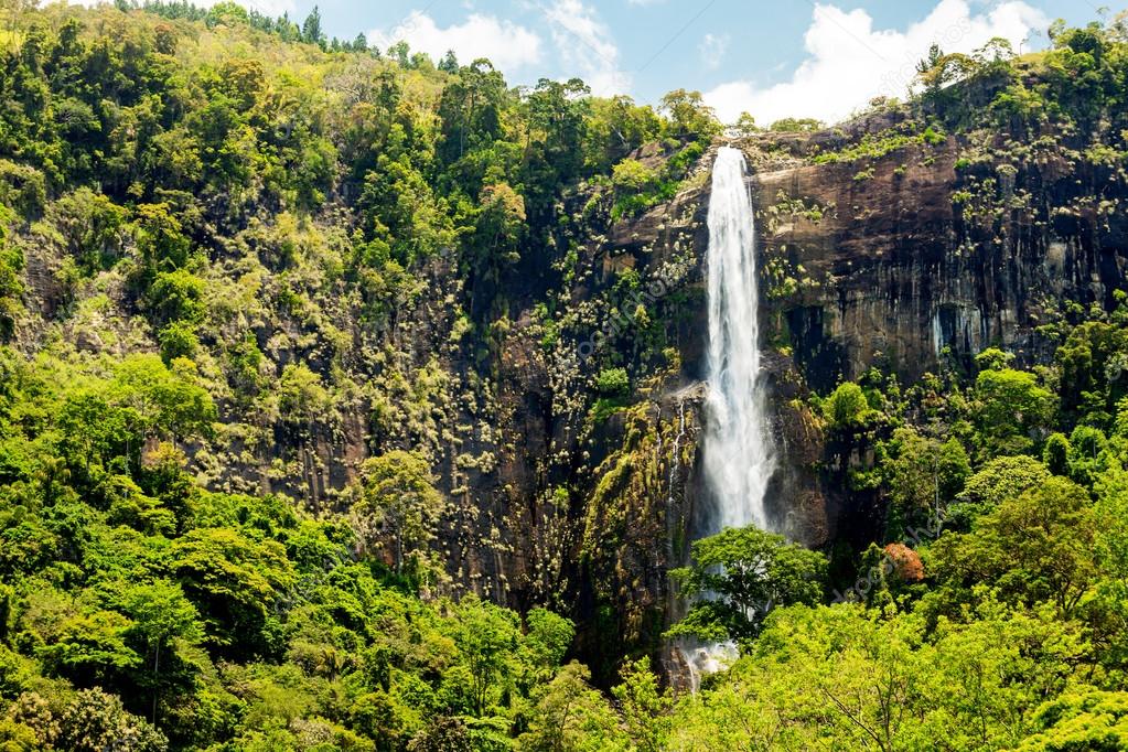 Bambarakanda Ella, la cascada más alta de Sri Lanka 2024