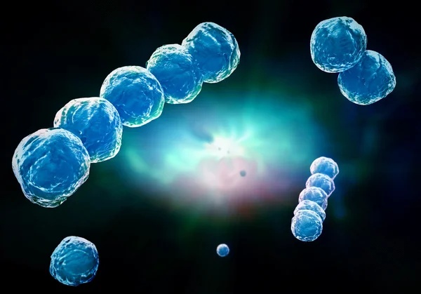 Streptococcus bacteria Stock Photos, Royalty Free Streptococcus ...