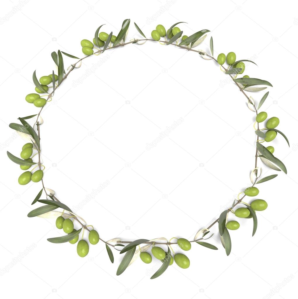 Olive branches forming a circle — Stock Photo © Giovanni_Cancemi #86256588