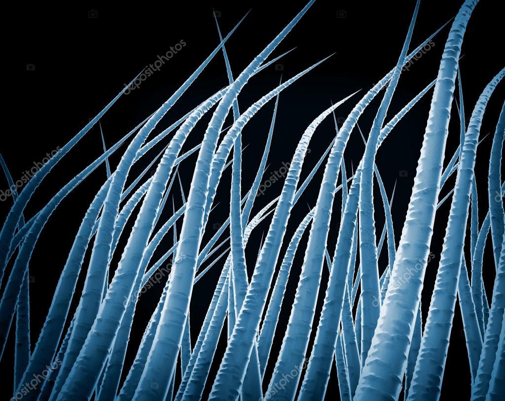 Microscopic View Of Hair | atelier-yuwa.ciao.jp