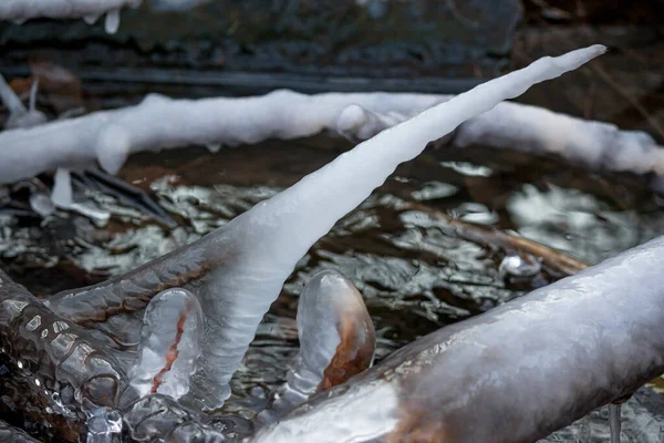 Ice horns Stock Photos, Royalty Free Ice horns Images | Depositphotos