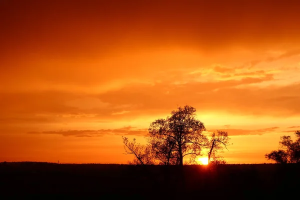 Orange field sunset Stock Photos, Royalty Free Orange field sunset ...
