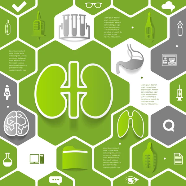 Medical sticker infographic Stock Vector by ©Palau83 54910049