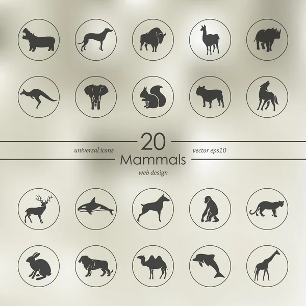 Pictogram zoo Vector Art Stock Images | Depositphotos