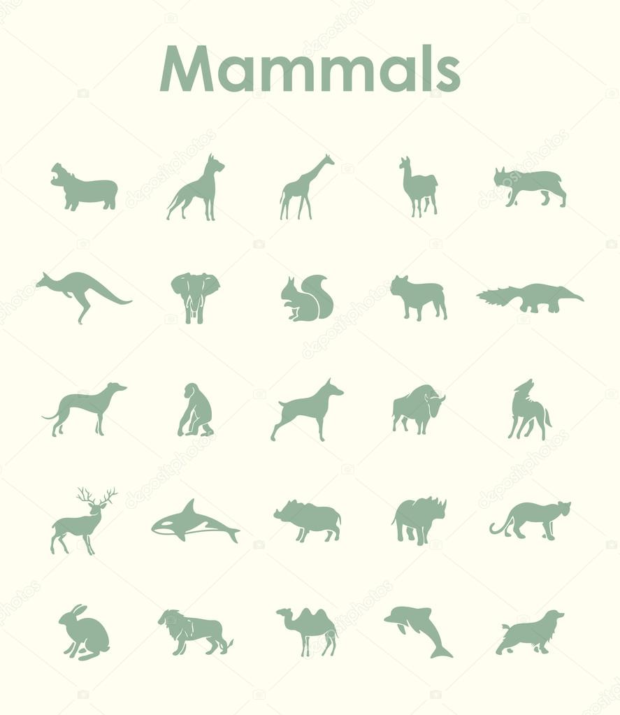 Conjunto de mamíferos iconos simples Vector de stock #72597945 de ©Palau83