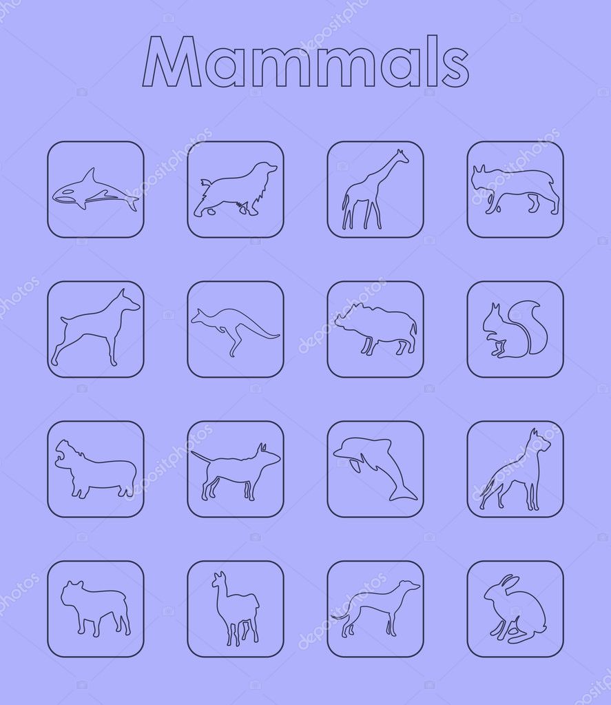 Conjunto de mamíferos iconos simples Vector de stock #77550116 de ©Palau83