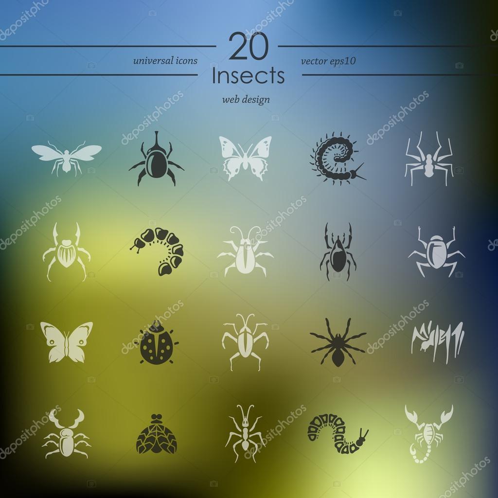 Set of insects icons Stock Vector by ©Palau83 87287684