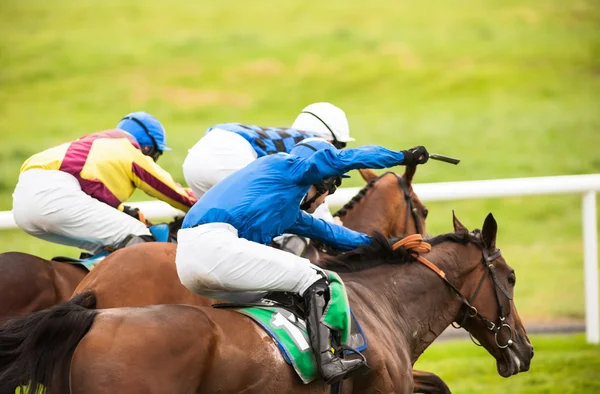 Horse race track Stock Photos, Royalty Free Horse race track Images ...