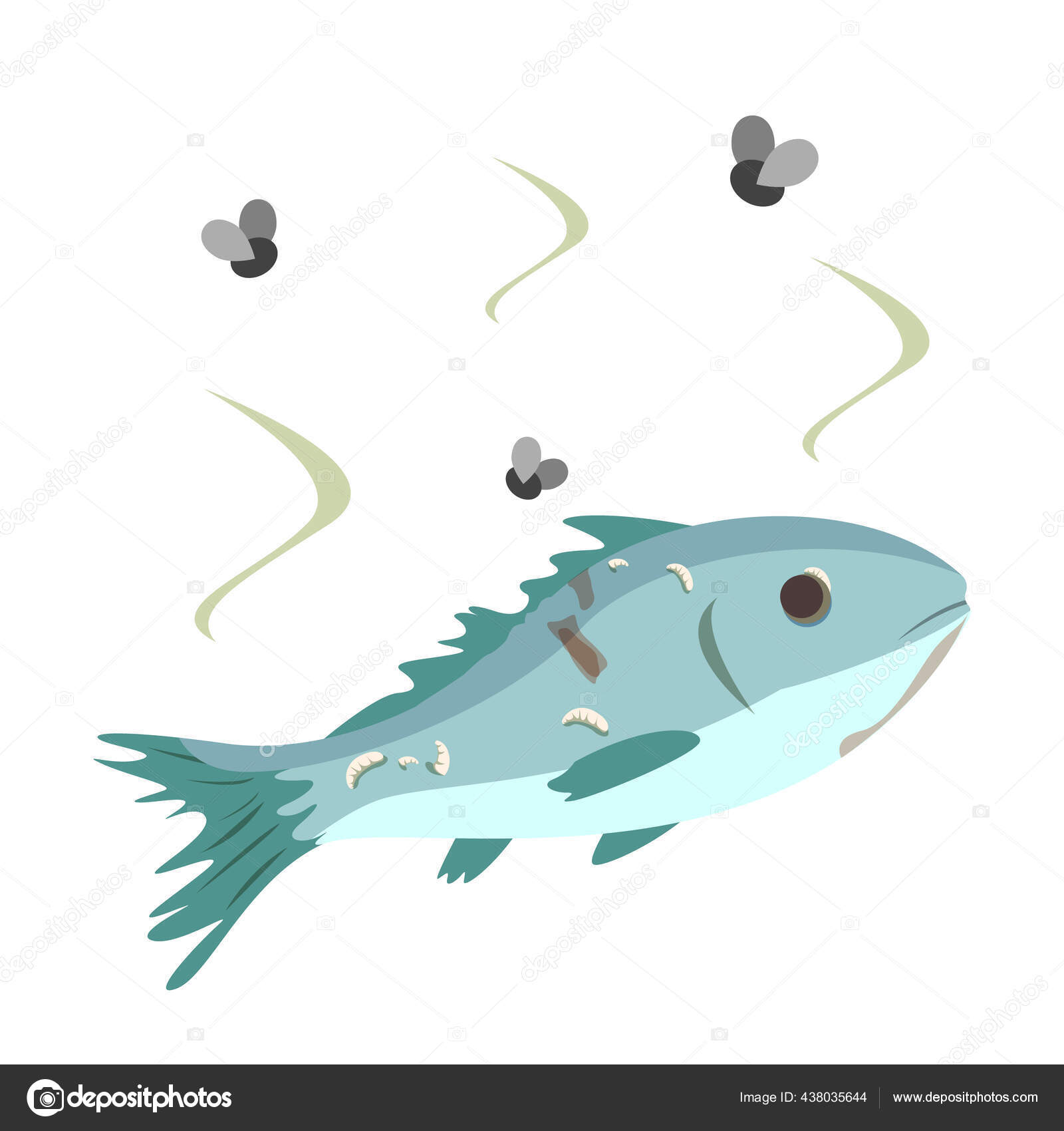Rotten Fish Vector Isolated Damaged Product Danger Health Concept Food ...