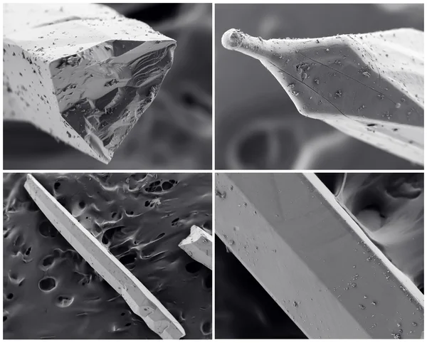 Electron microscope Images - Search Images on Everypixel