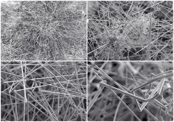 Electron microscope Images - Search Images on Everypixel