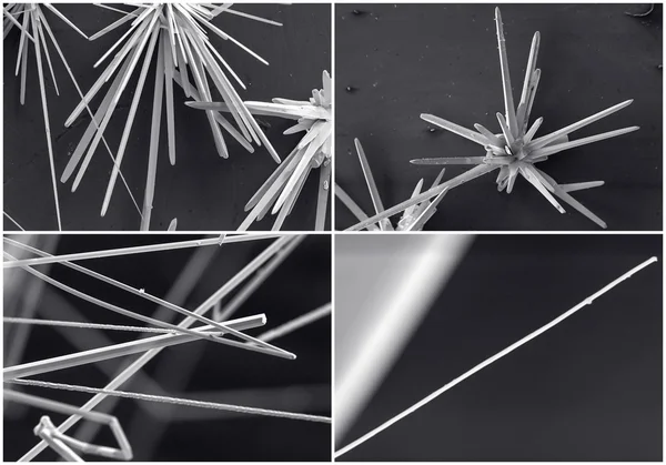 Electron microscope Images - Search Images on Everypixel