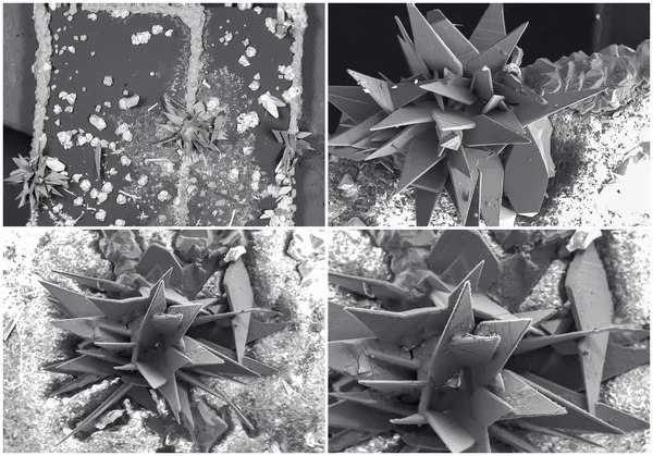 Electron microscope Images - Search Images on Everypixel