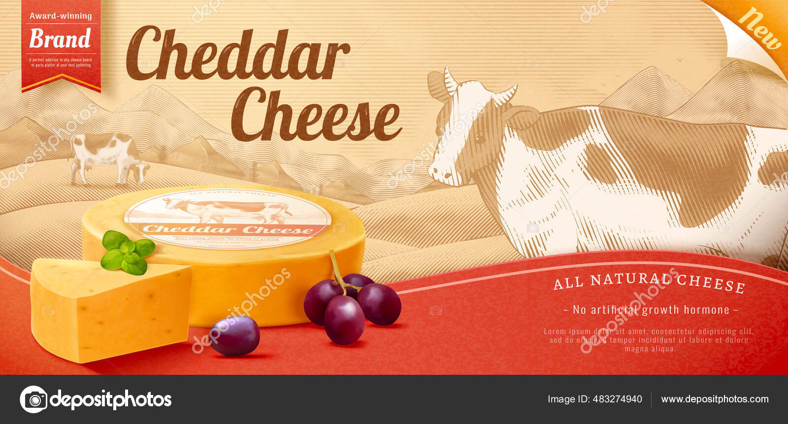 Illustration Cheddar Cheese Banner Advertisement Natural Cheese Wheel ...