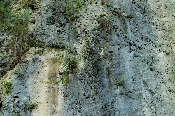 Burned Concrete Wall texture — Stock Photo © siraanamwong #13806495 Burned Concrete Wall texture — Stock Photo © siraanamwong #13806495