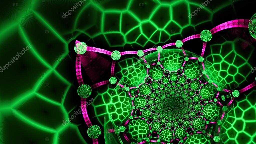 Animal Cells Under A Microscope