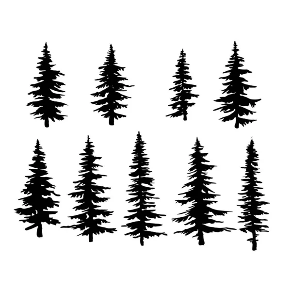 Illustration Set Of Different Trees Cute Spruce Vector Drawing Stock Vector By ©nolimolly 416893766