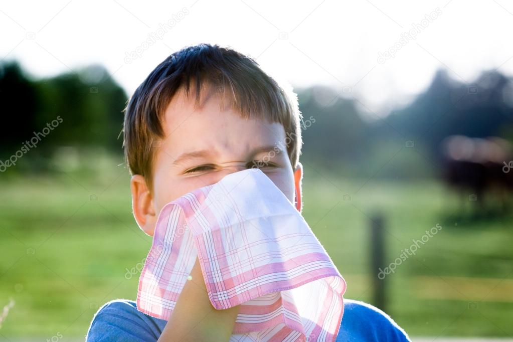 Child with an allergy to pollen while you blow your nose with a white ...