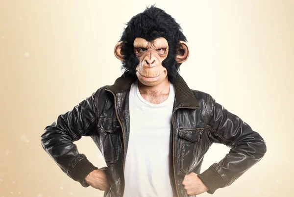 Pimp monkey Stock Photos, Royalty Free Pimp monkey Images | Depositphotos