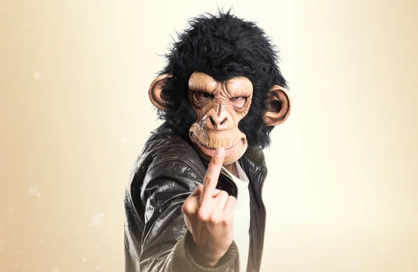 Pimp monkey Stock Photos, Royalty Free Pimp monkey Images | Depositphotos