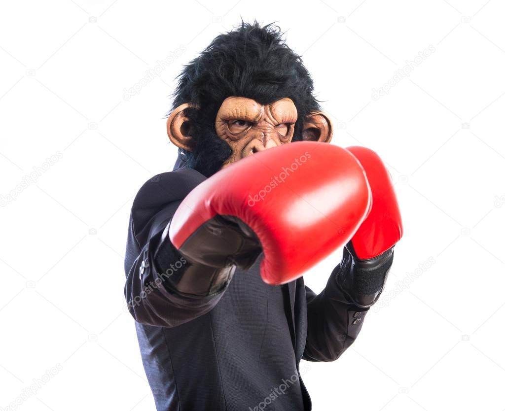 Monkey man with boxing gloves — Stock Photo © luismolinero #83277690