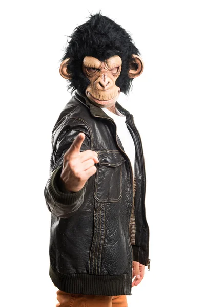 Pimp monkey Stock Photos, Royalty Free Pimp monkey Images | Depositphotos