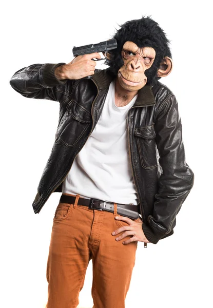 Pimp monkey Stock Photos, Royalty Free Pimp monkey Images | Depositphotos