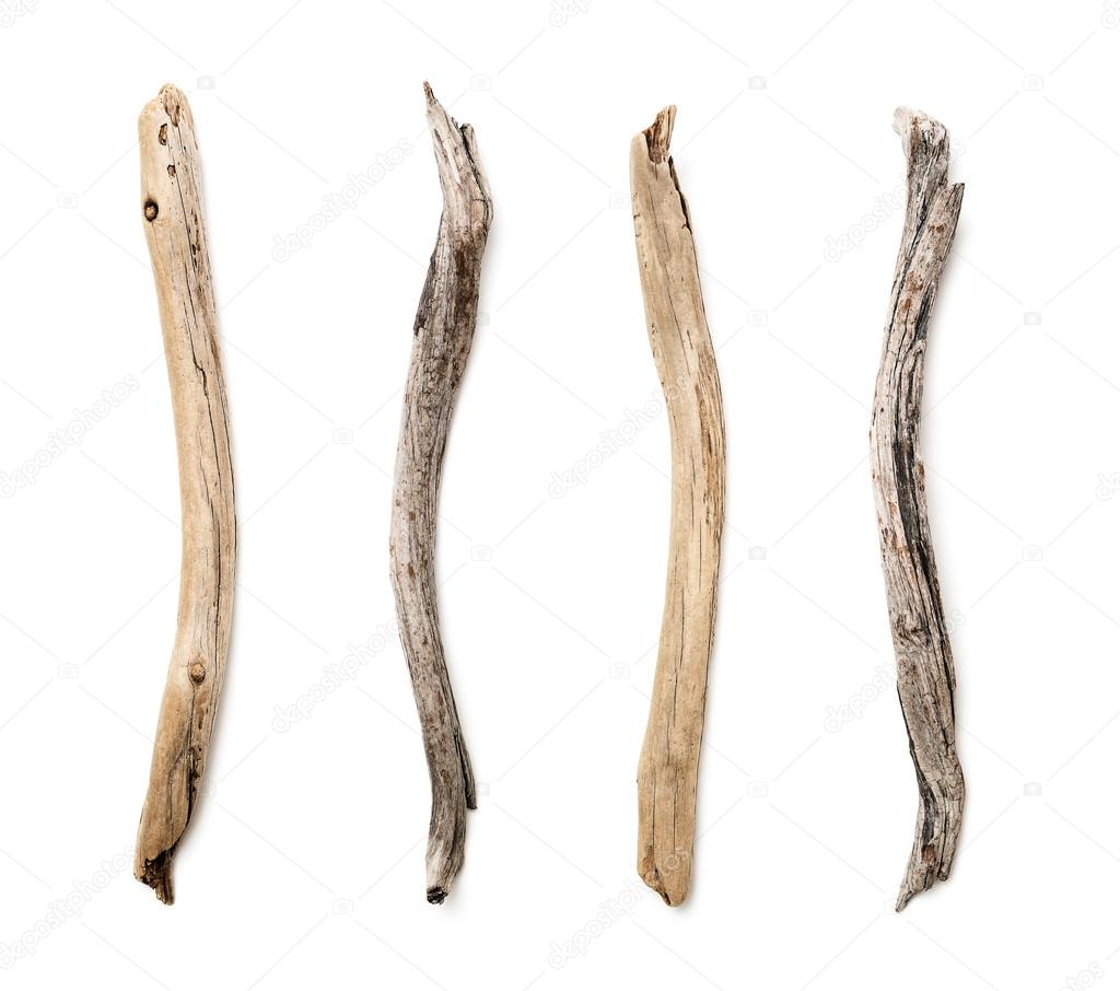 Set of dry tree branch Stock Photo by ©wabeno 75273841