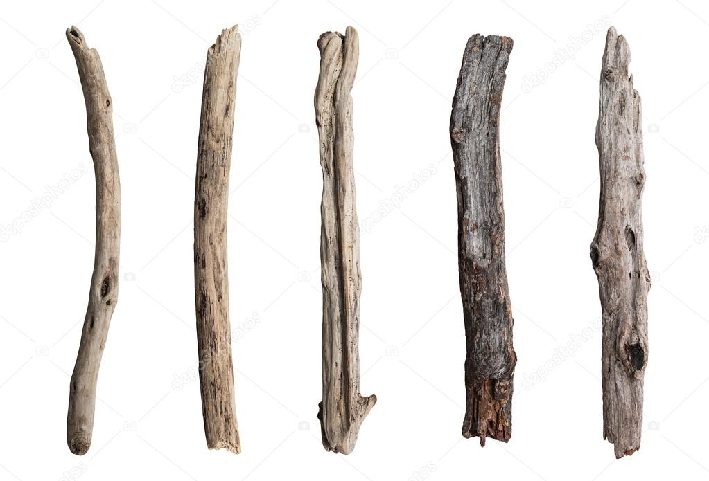 Set of dry tree branch — Stock Photo © wabeno #93991202