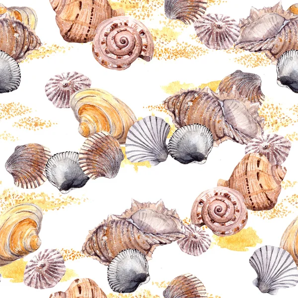 Nautilus shell illustration Stock Photos, Royalty Free Nautilus shell ...