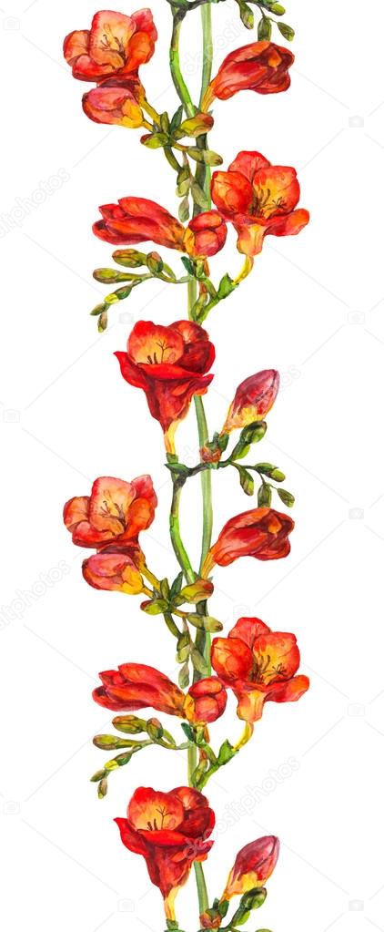 Seamless floral border with red watercolor flowers freesias Stock Photo ...