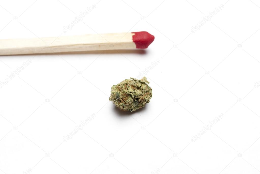 Marijuana — Stock Photo © jeremyn #66918731