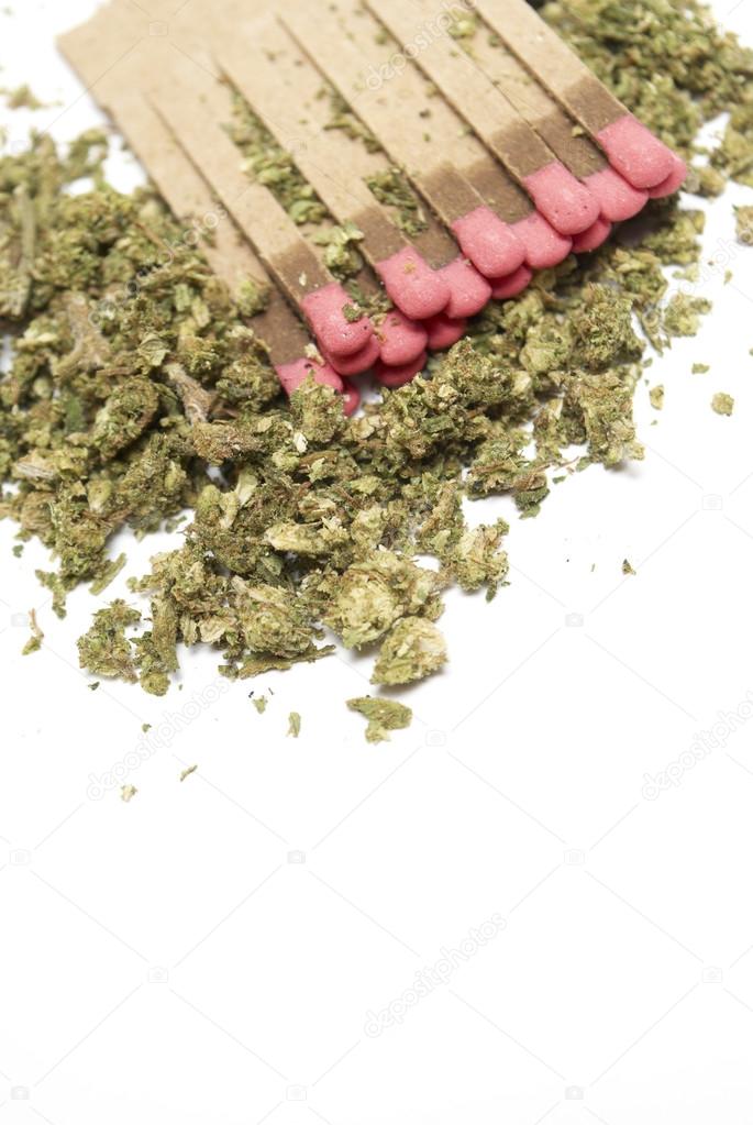 Marijuana — Stock Photo © jeremyn #71855281