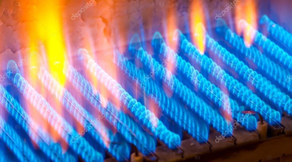 The fire burns from a gas burner. Blue flame when burning gas. Stock ...