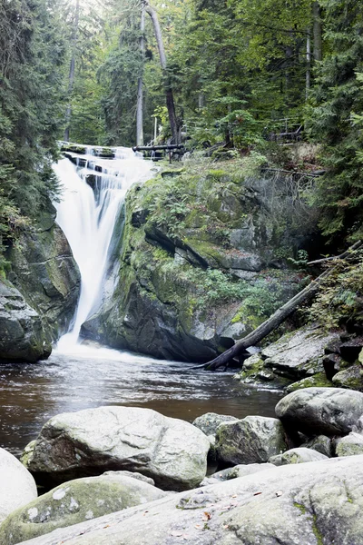 Rzeka, górska rzeka, Dunajec, woda, kamienie, woda w górach, polska ...