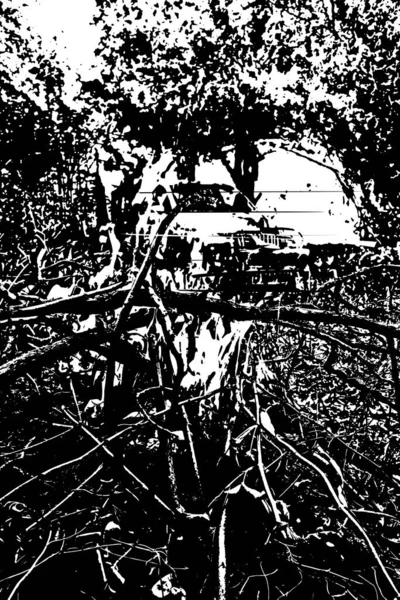 Chaos Tree Roots Stock Vector Image by ©roxanabalint #55633361