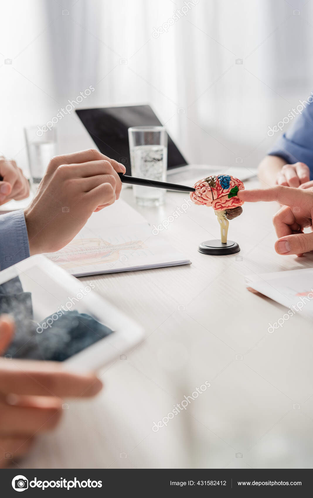 Doctors Pointing Finger Pen Brain Anatomical Model Workplace Devices ...