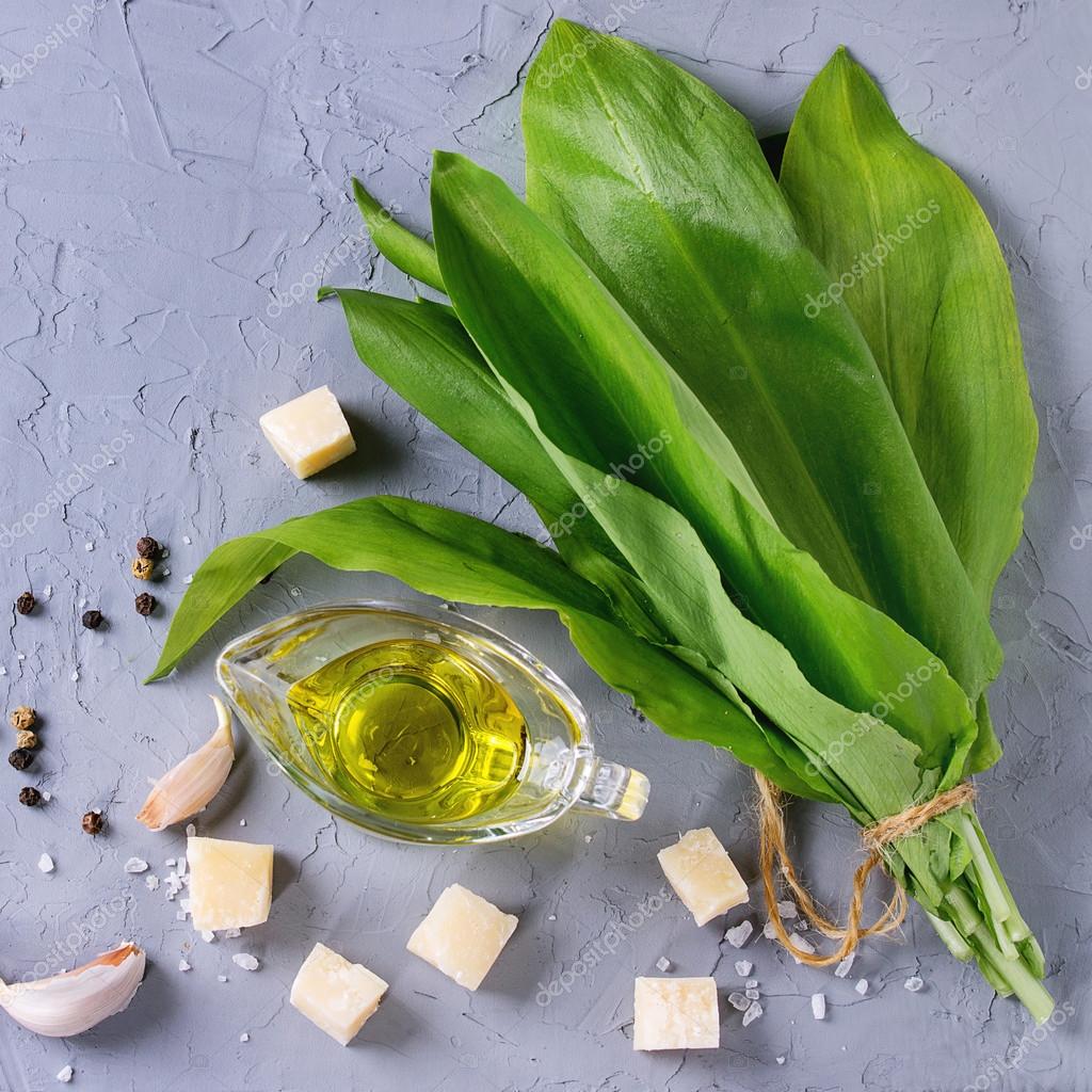 Bunch of fresh ramson Stock Photo by ©NatashaBreen 115638672